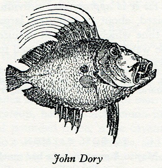 Kosher Fish List - Kosher Fish